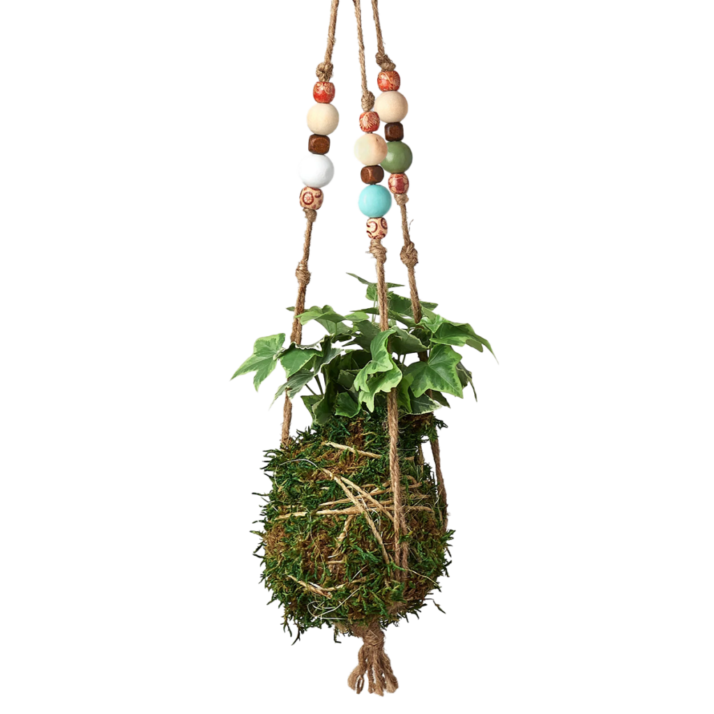 Bead Kokedama Moss Ball Hanging Plant | Free Doorstep Plant Delivery 🪴📦